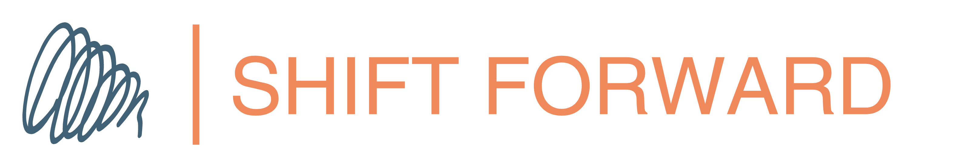 Capabilities – Shift Forward Consulting LLC