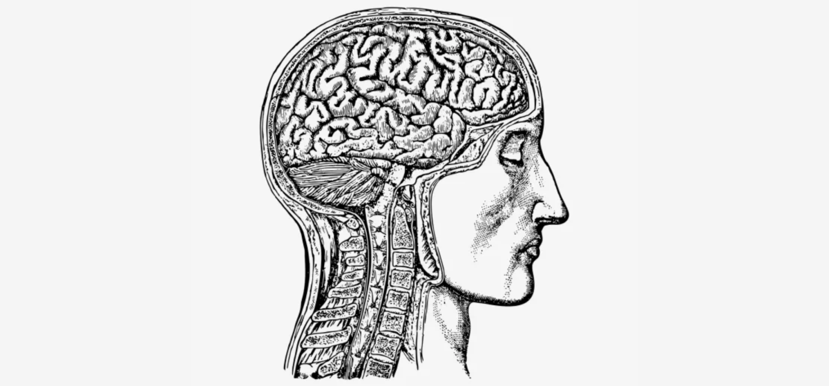 Better Government Goal Setting Through Brain Science – Shift Forward ...